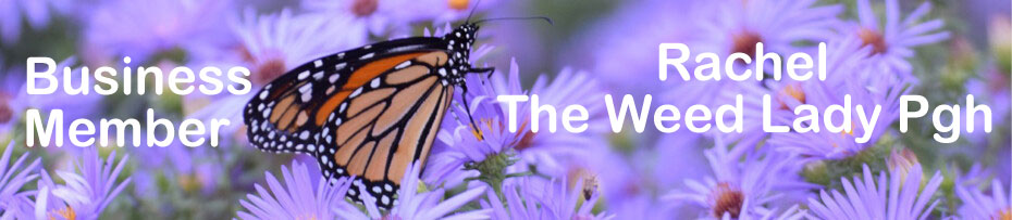 The Weed Lady of Pittsburgh, PA - Native Plant Lover and