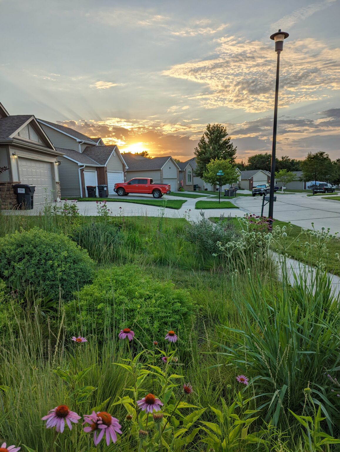Introduction to Matrix Garden Design - Wild Ones Western Pennsylvania