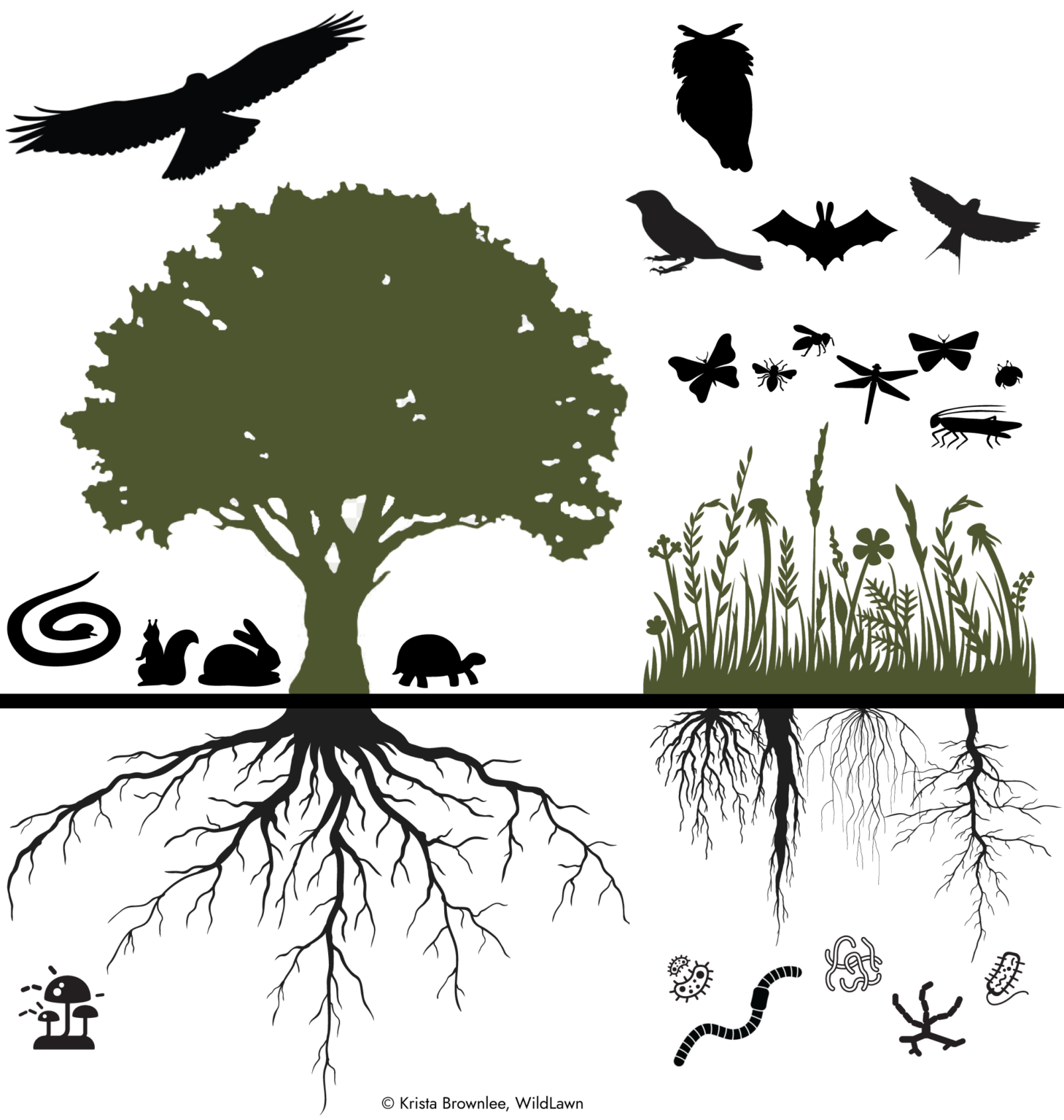 What We Need to Plant More Native Plants