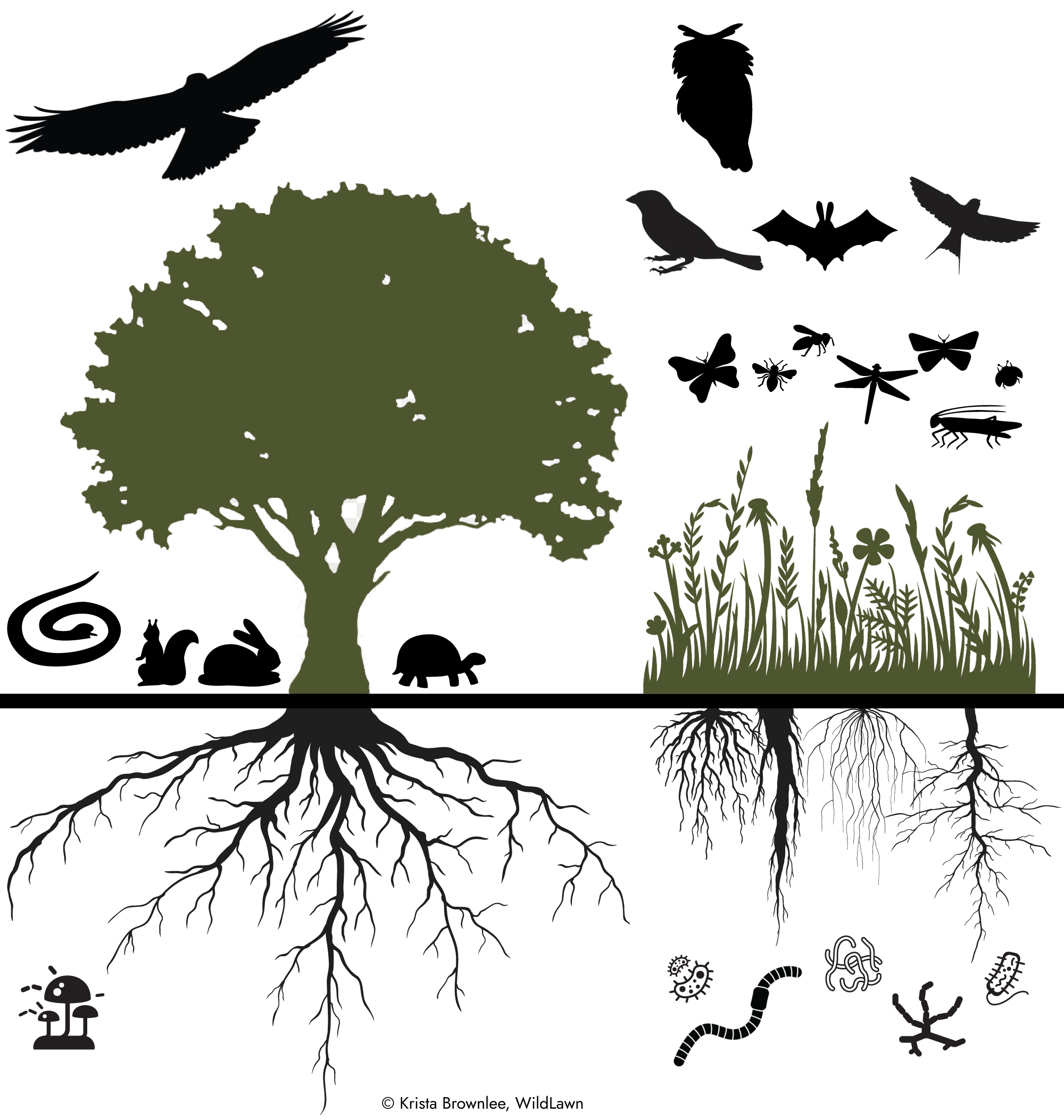 What We Need to Plant More Native Plants